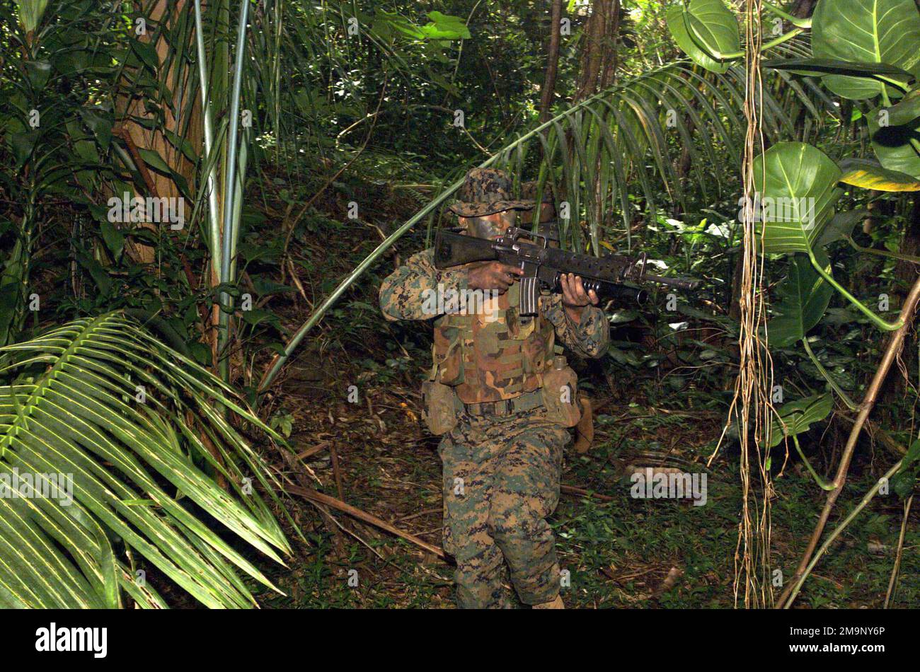 Mcb hawaii hi-res stock photography and images - Alamy