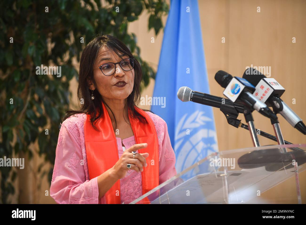 Addis Ababa, Ethiopia. 17th Jan, 2023. Chief of Staff at the United ...