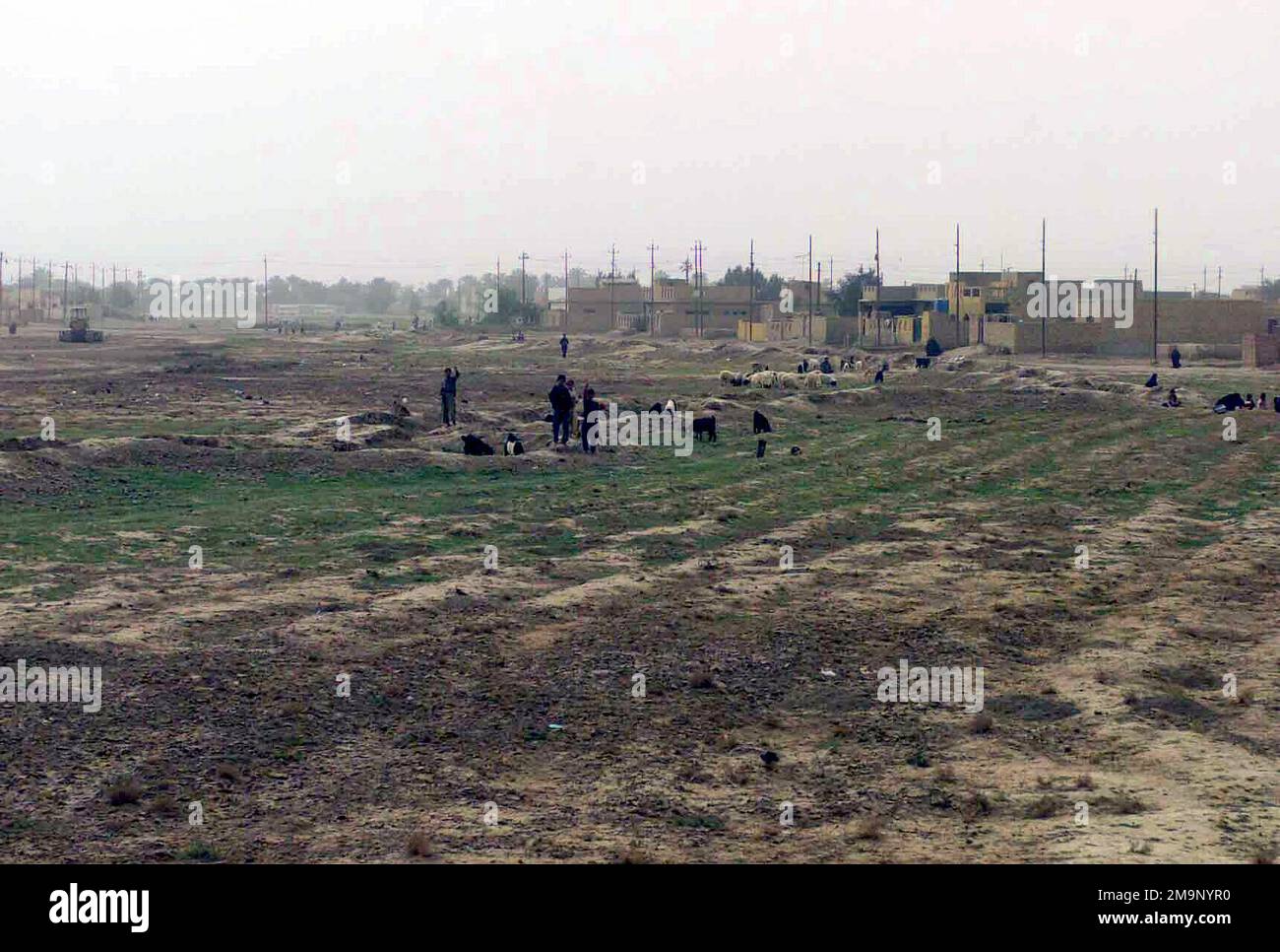 Local Iraqi goat herders graze their flock in a field filled with dirt ...