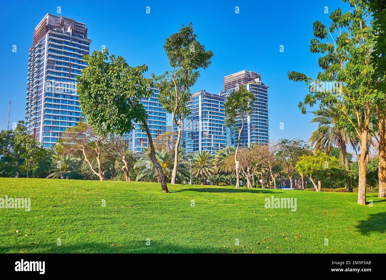 The green lawn and shady trees in Zabeel Park with modern glass ...