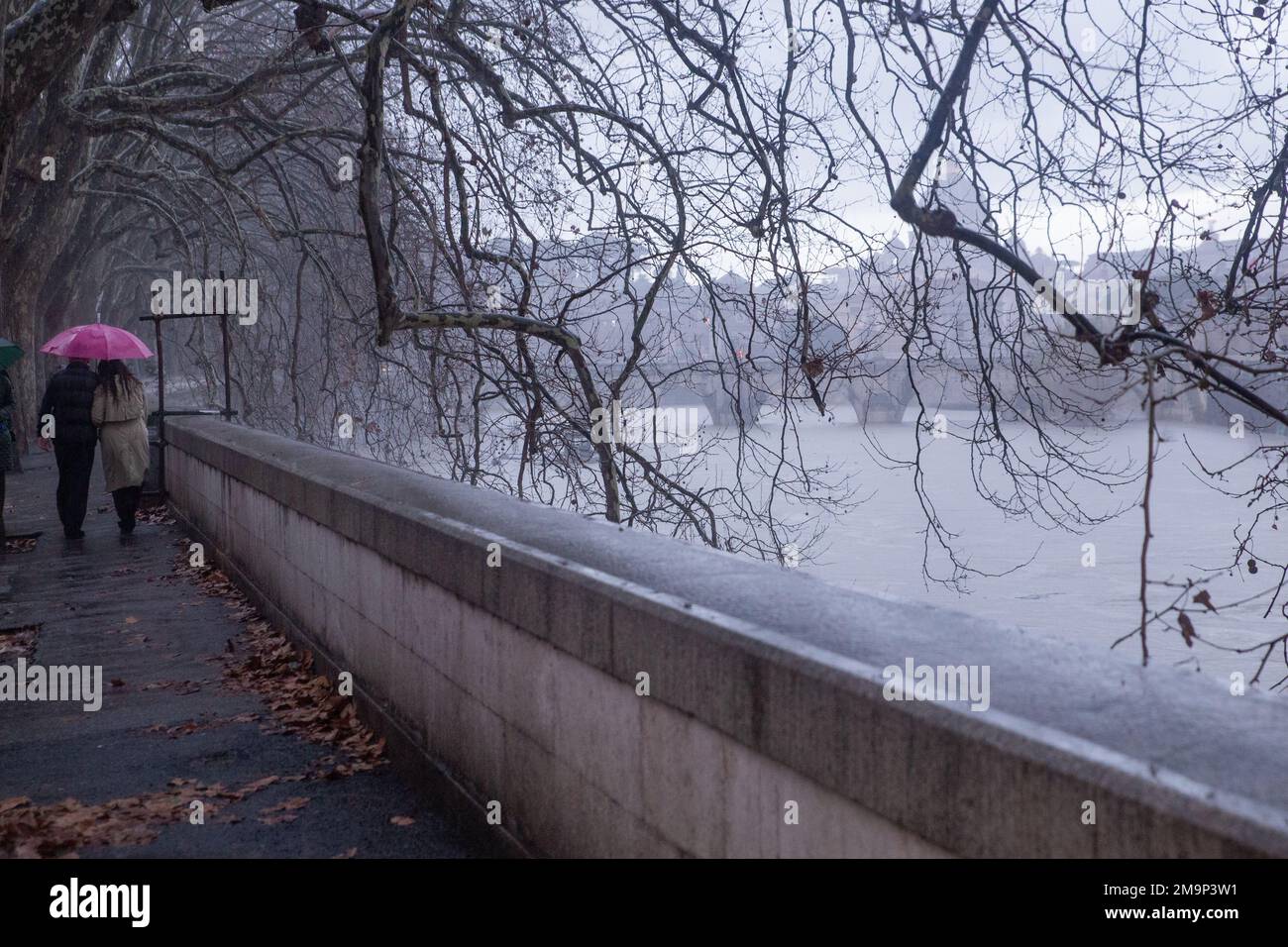 Flood of the Tiber seen from Ponte Umberto I in Rome (Photo by Matteo ...
