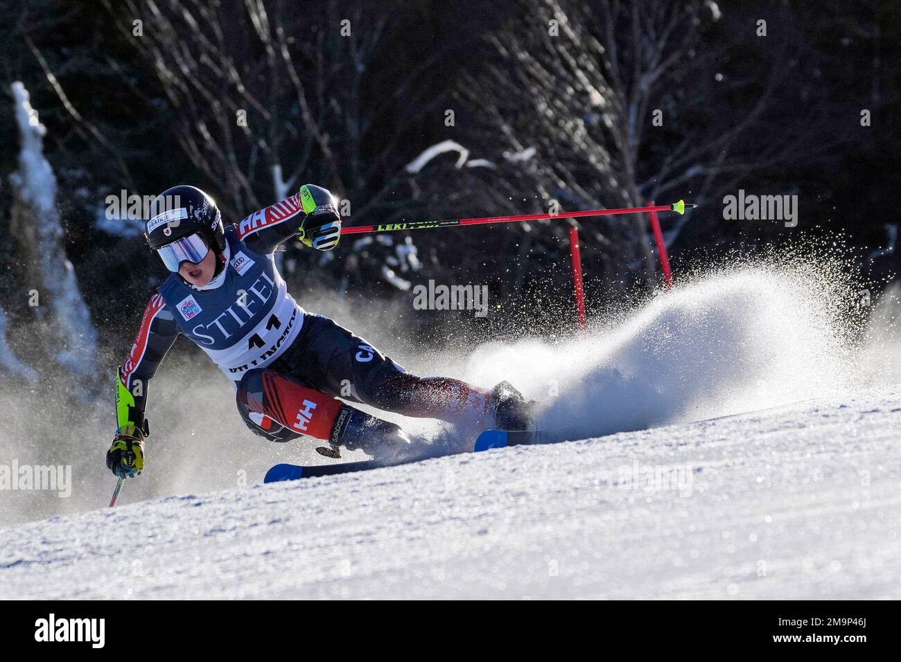 Canada's Britt Richardson competes during a women's World Cup giant ...