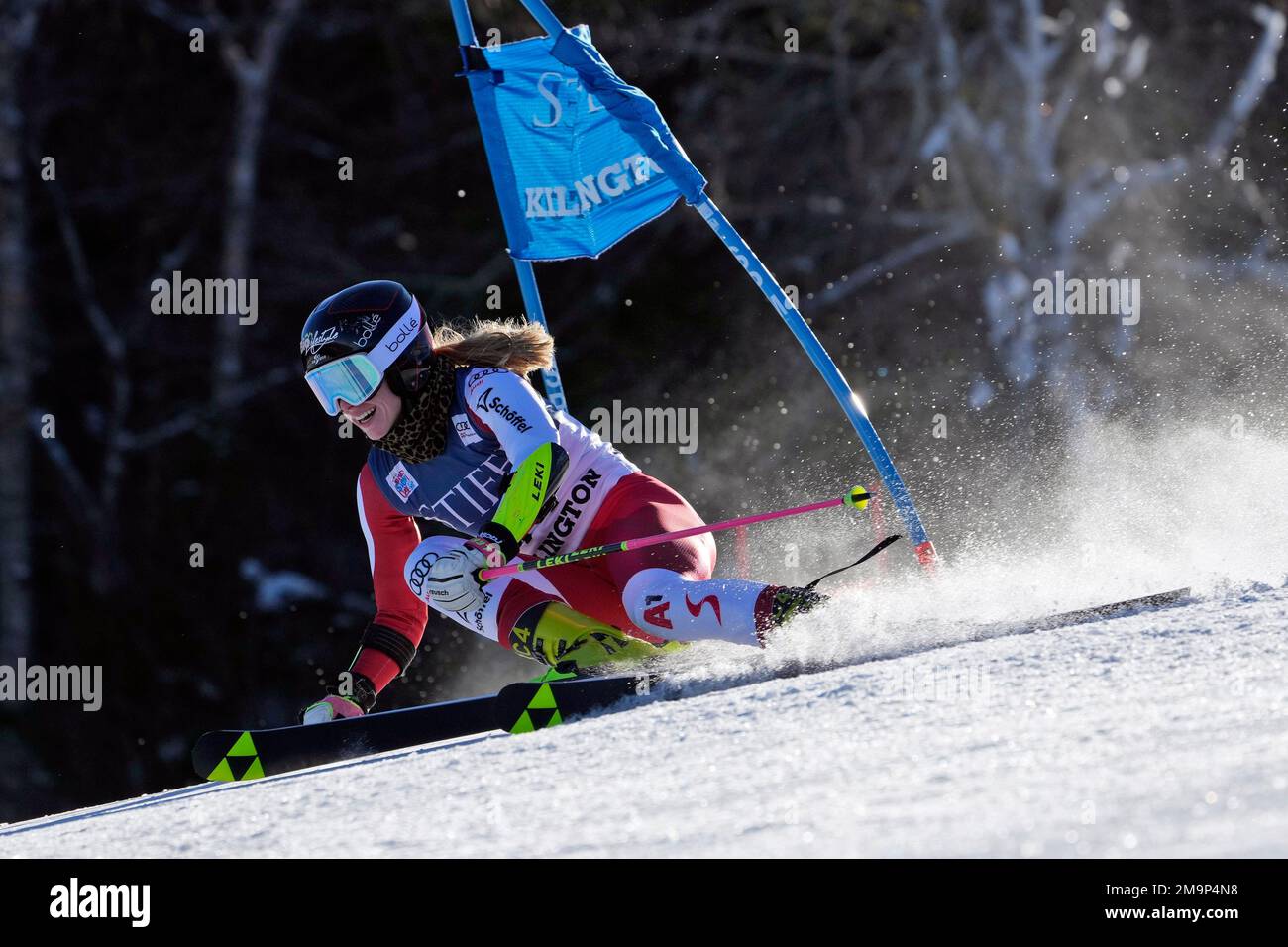Austria's Nina Astner competes during a women's World Cup giant slalom ...