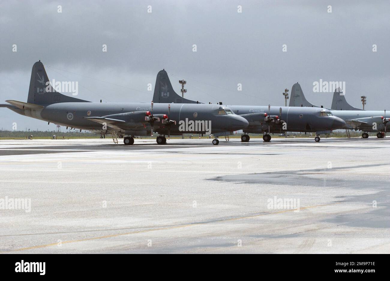 Derivatives of the US Navy (USN) P-3 Orion Aircraft representing the ...
