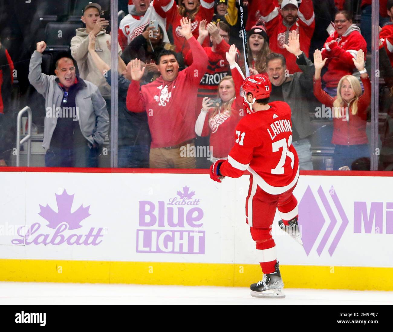 Detroit Red Wings center Dylan Larkin (71) celebrates after scoring in ...