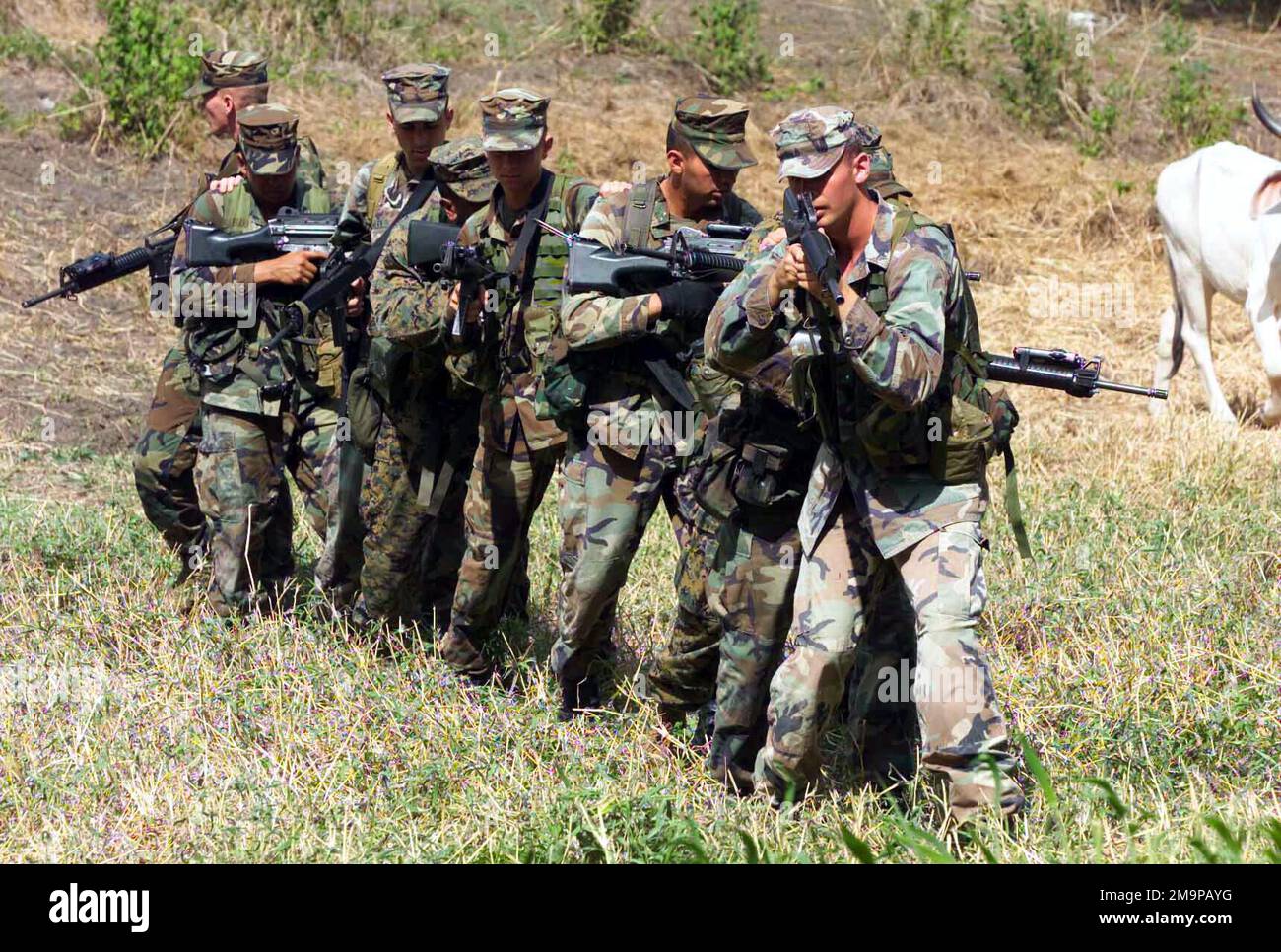 030427-M-9892R-013. Subject Operation/Series: BALIKATAN 2003 Base: Fort ...