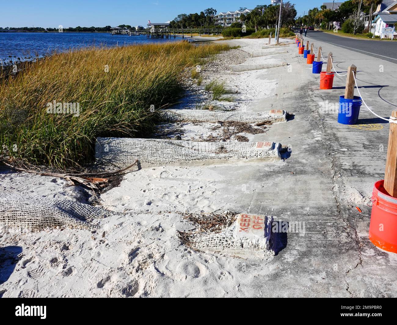 Designated marsh restoration area where sea grass has been planted in ...