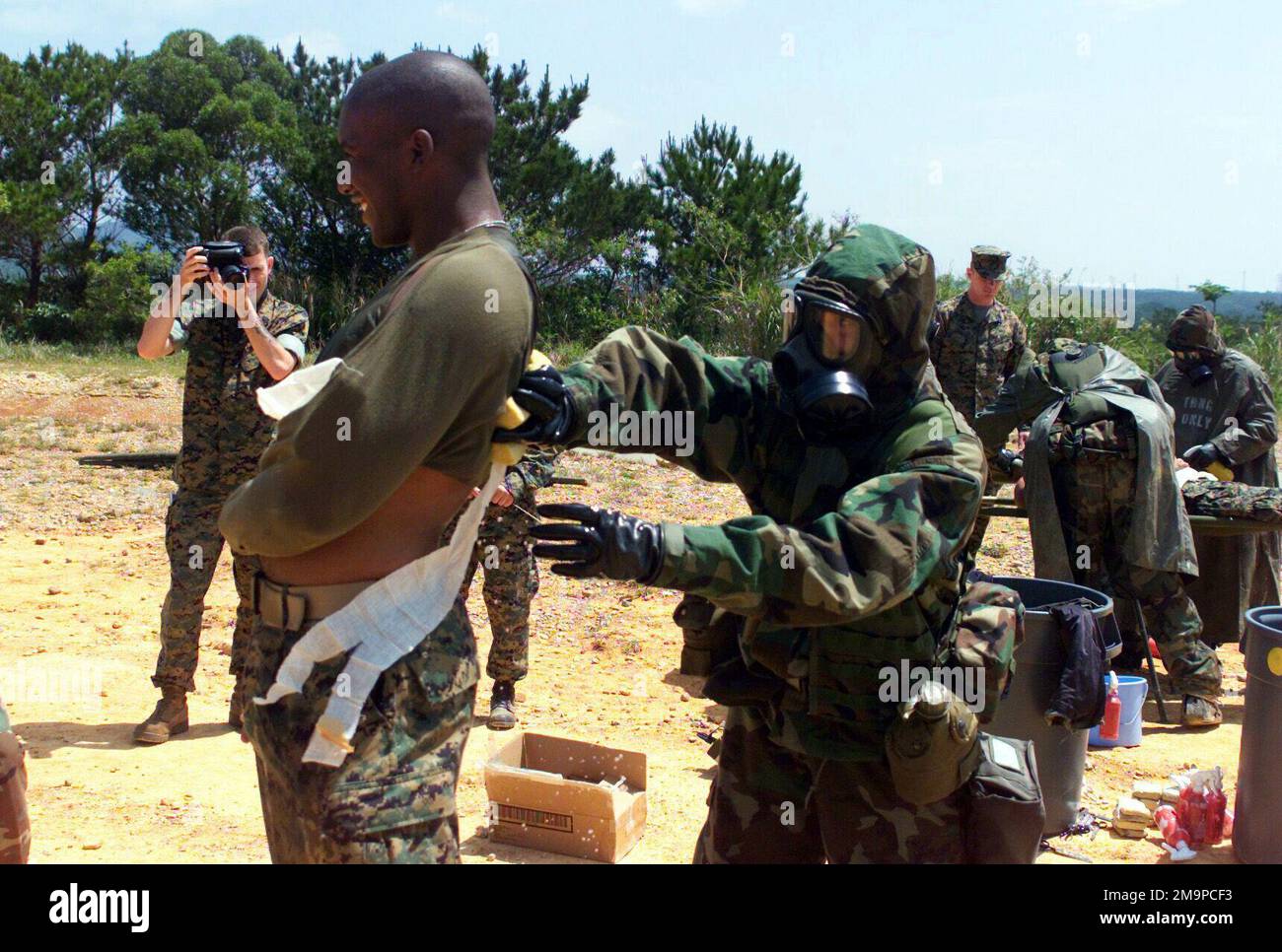 3d mardiv hi-res stock photography and images - Alamy