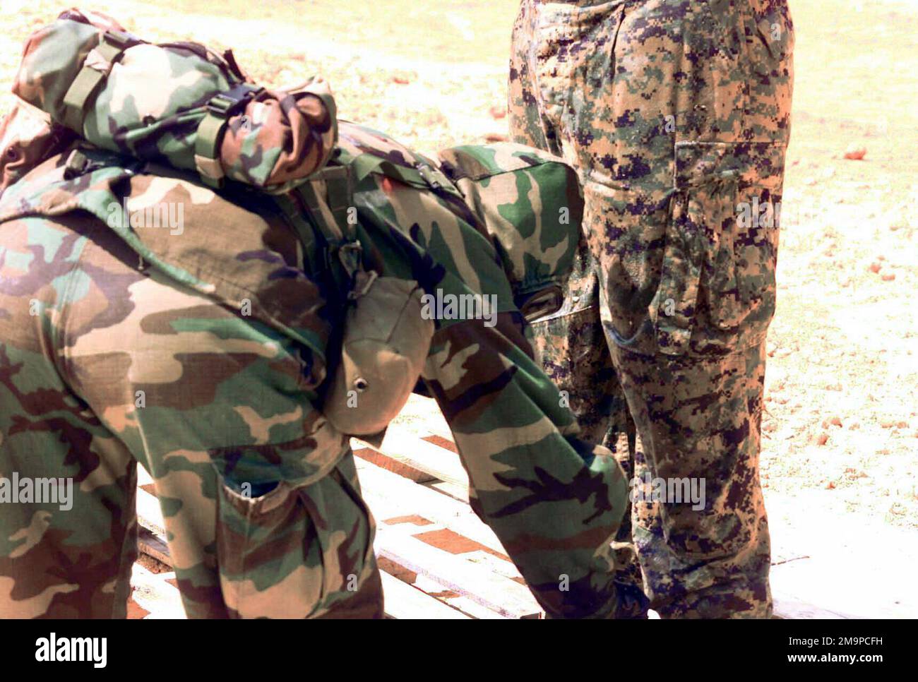 3d mardiv hi-res stock photography and images - Alamy