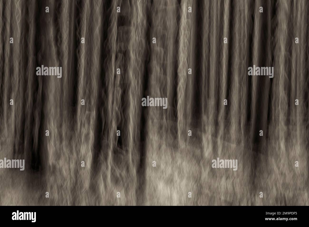 Olympic national timberland hi-res stock photography and images - Alamy