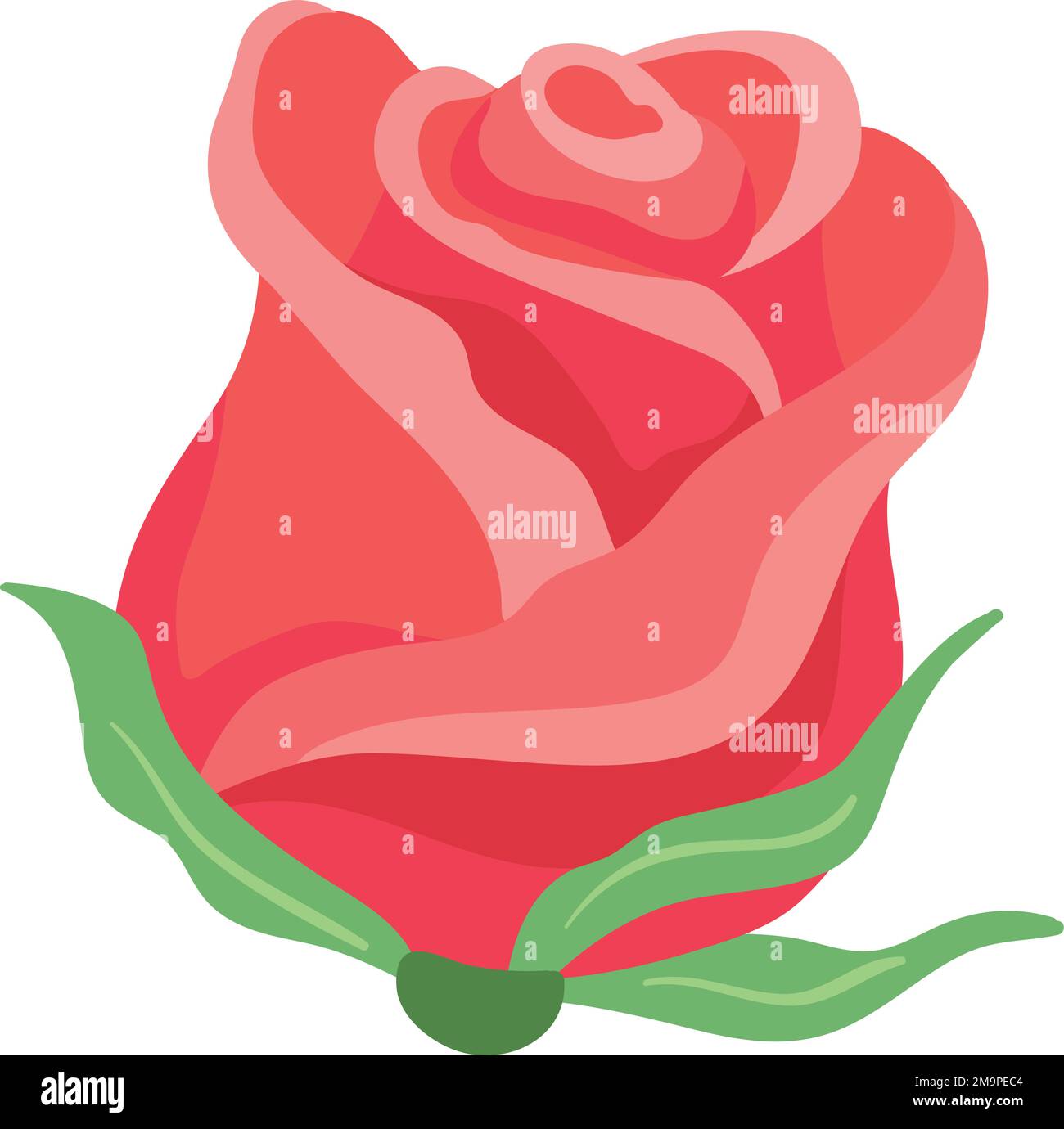 Blooming red flower. Color rose. Romantic decoration Stock Vector Image ...