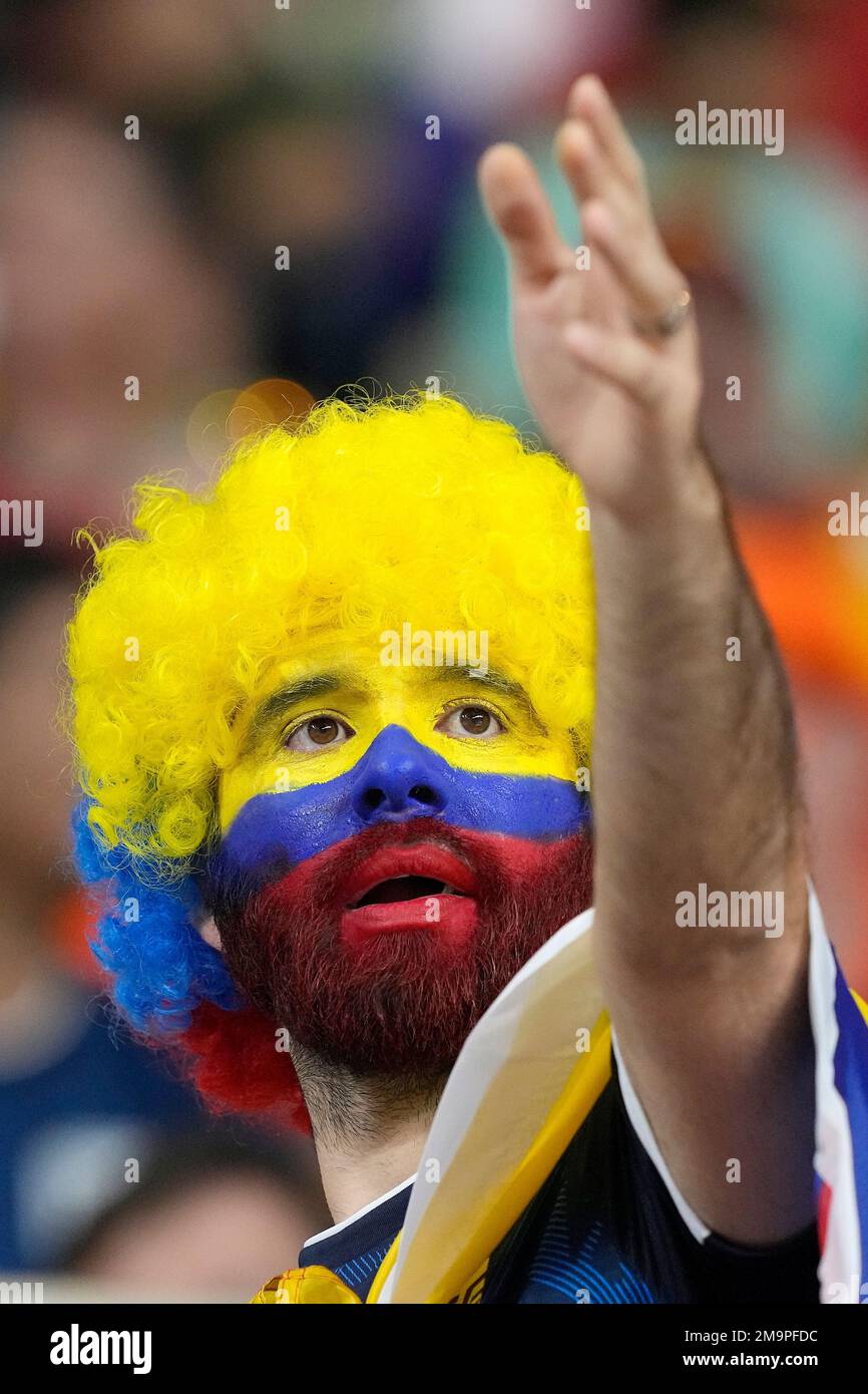 A soccer fan awaits the start of the World Cup group A soccer match ...