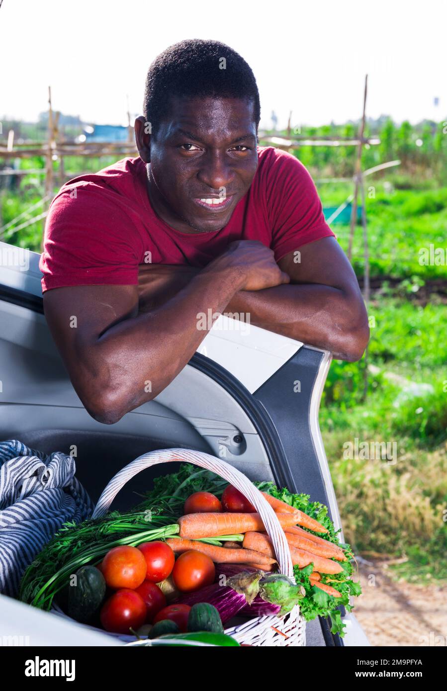 Man packing harvested vegetables in car trunk Stock Photo - Alamy