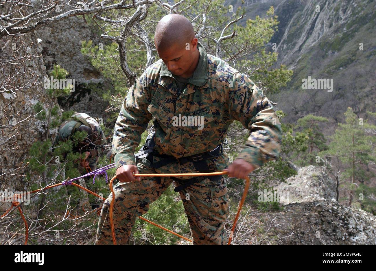 Public release approved by usmc hi-res stock photography and images - Alamy