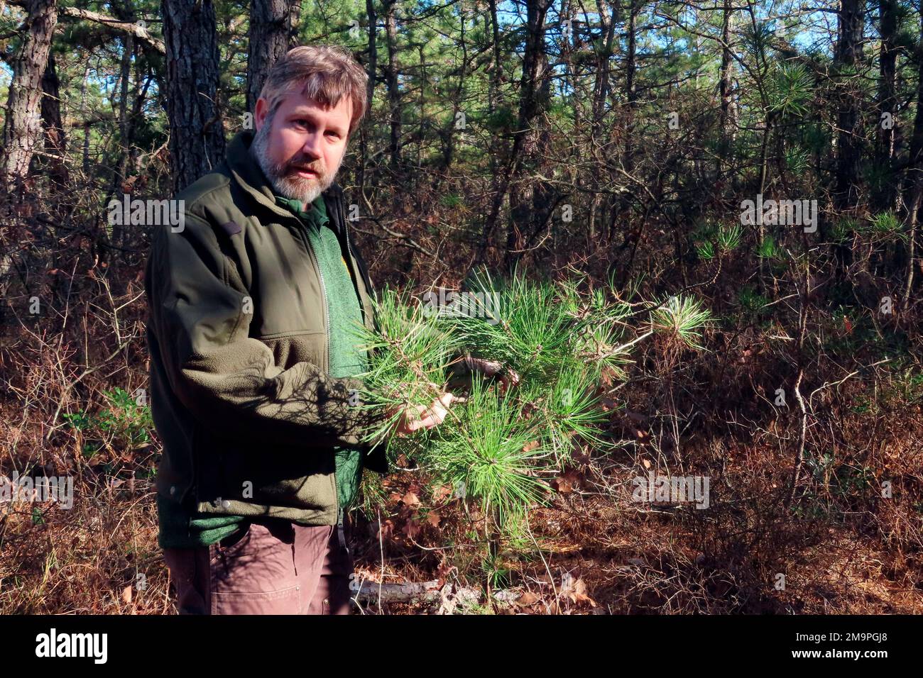 Bill Zipse, a supervising forester with the New Jersey Forest Service ...