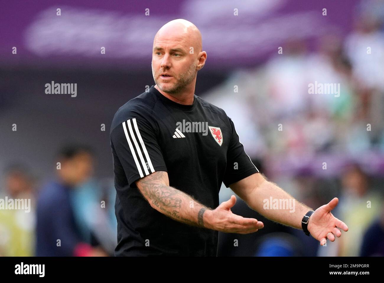 Wales' head coach Rob Page reacts during the World Cup group B soccer ...