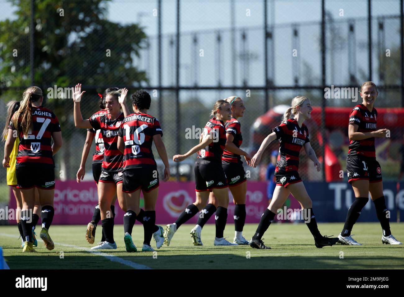The Wanderers players celebrates a goal during the match between ...