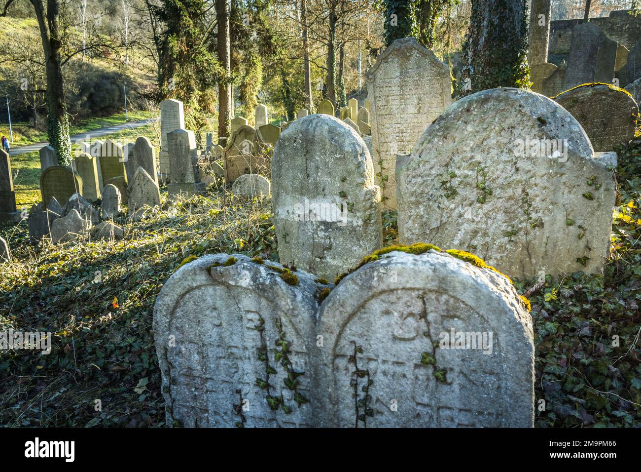 Old jewish cemetry in Trebic, Czech republic. Established in 17th ...