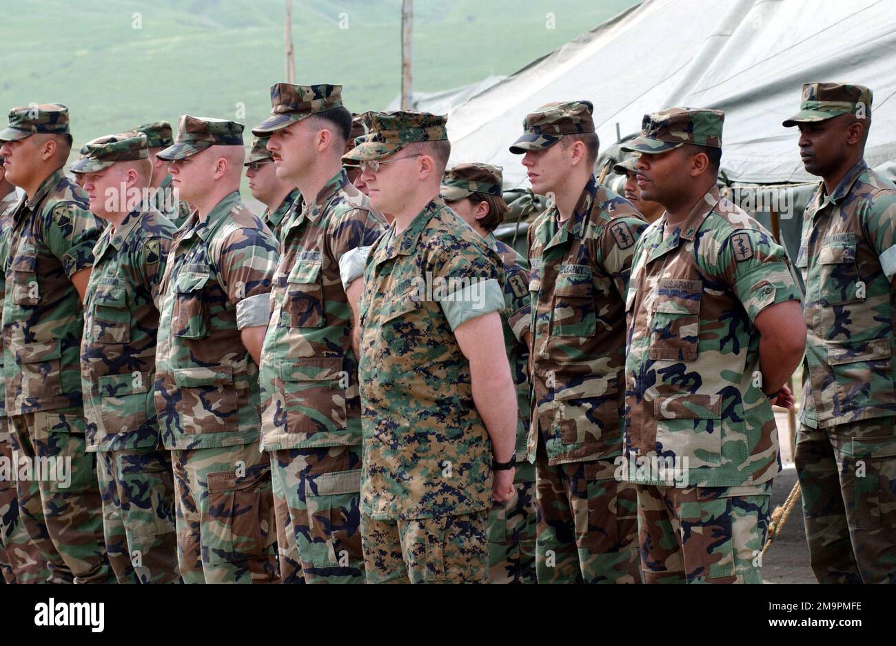 Joint-Service US Military Instructors assigned to the Task Force ...