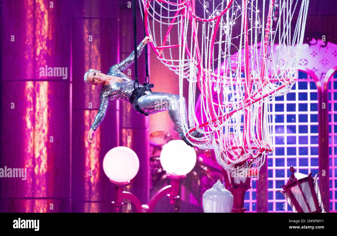 Pink in concert at the BB&T Center in Florida Stock Photo - Alamy
