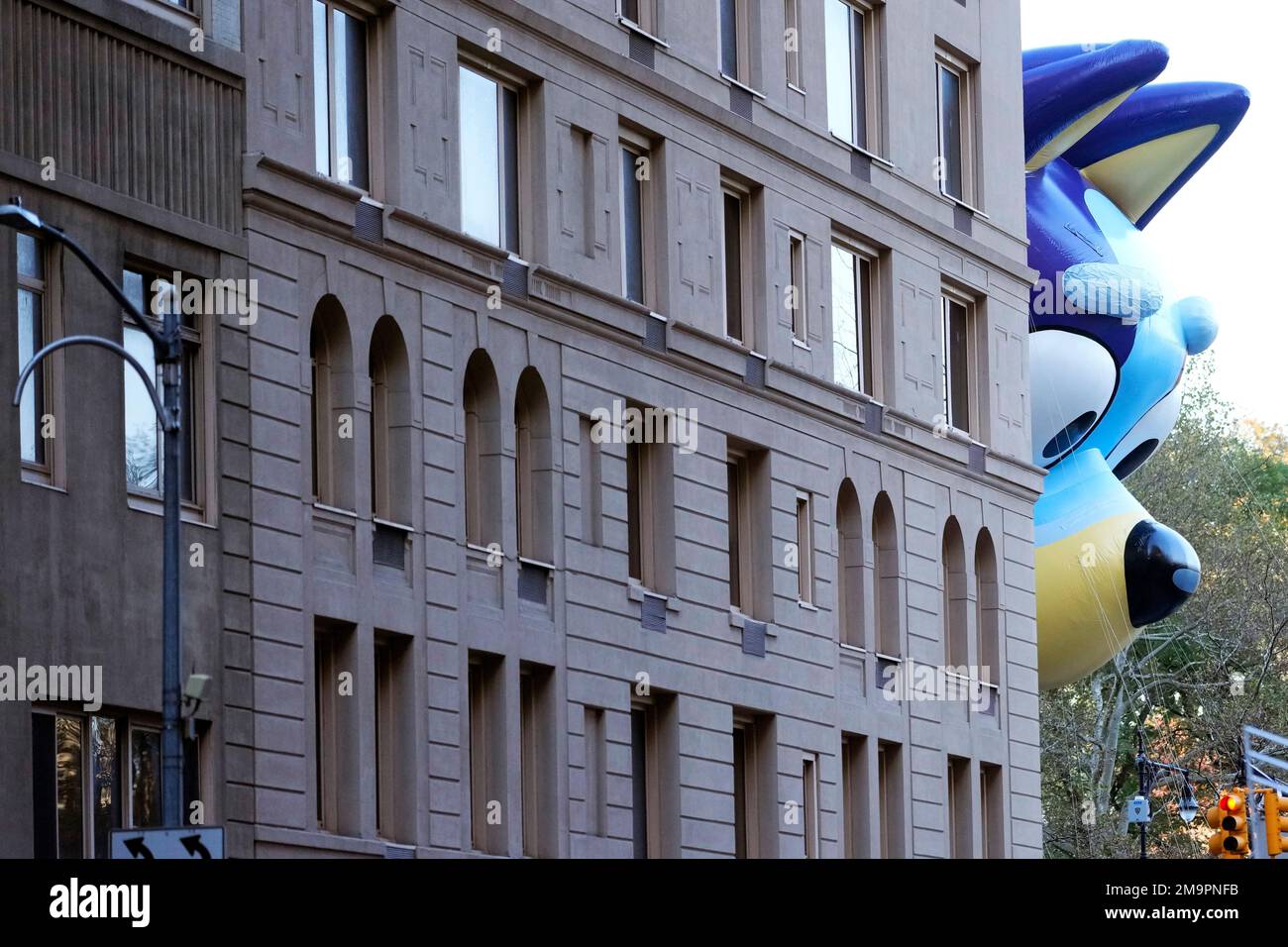 The Bluey balloon floats in the Macy's Thanksgiving Day Parade on ...