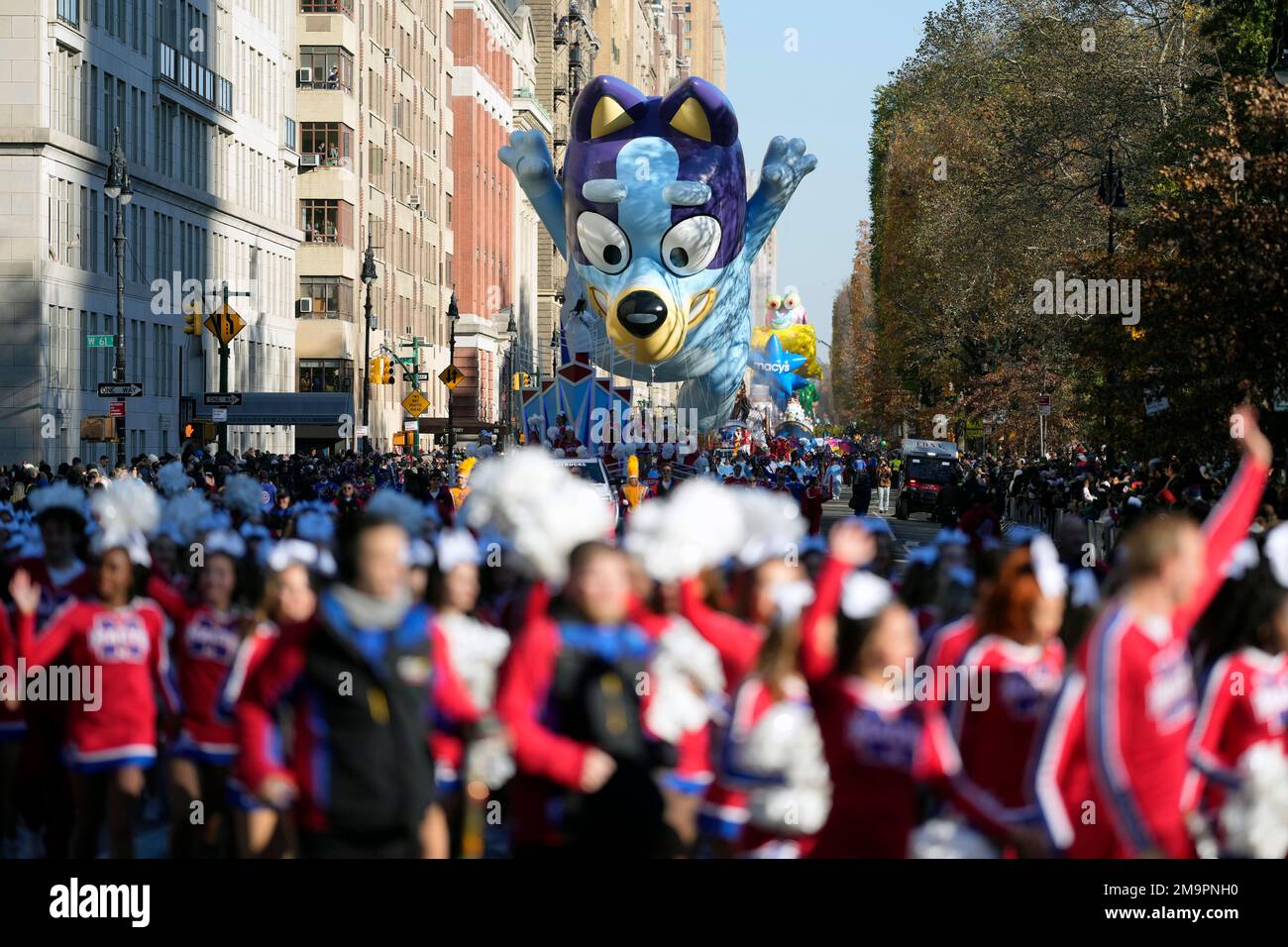 The Bluey balloon floats in the Macy's Thanksgiving Day Parade on ...