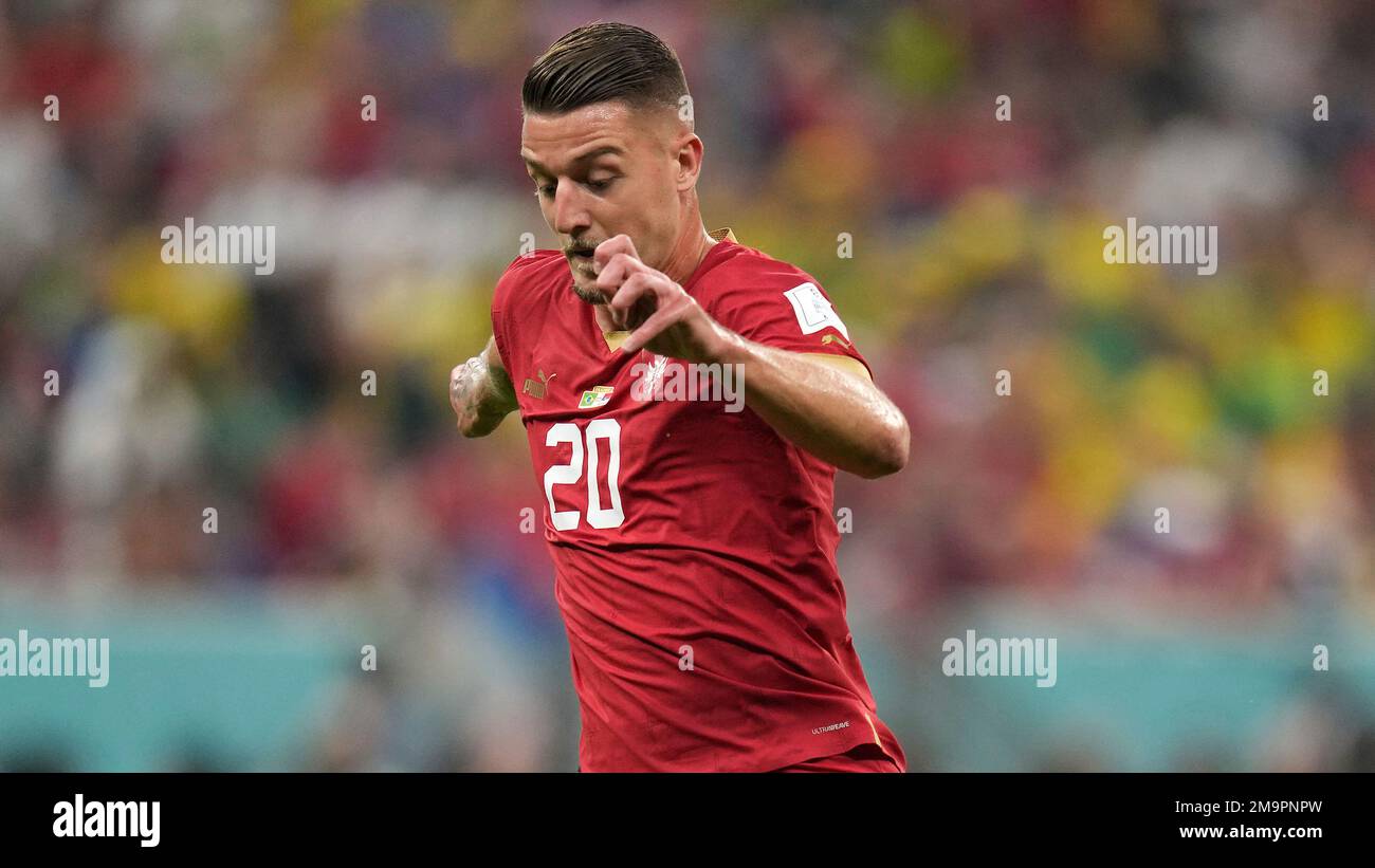 Serbia's Sergej Milinkovic-Savic in action during the World Cup group G ...