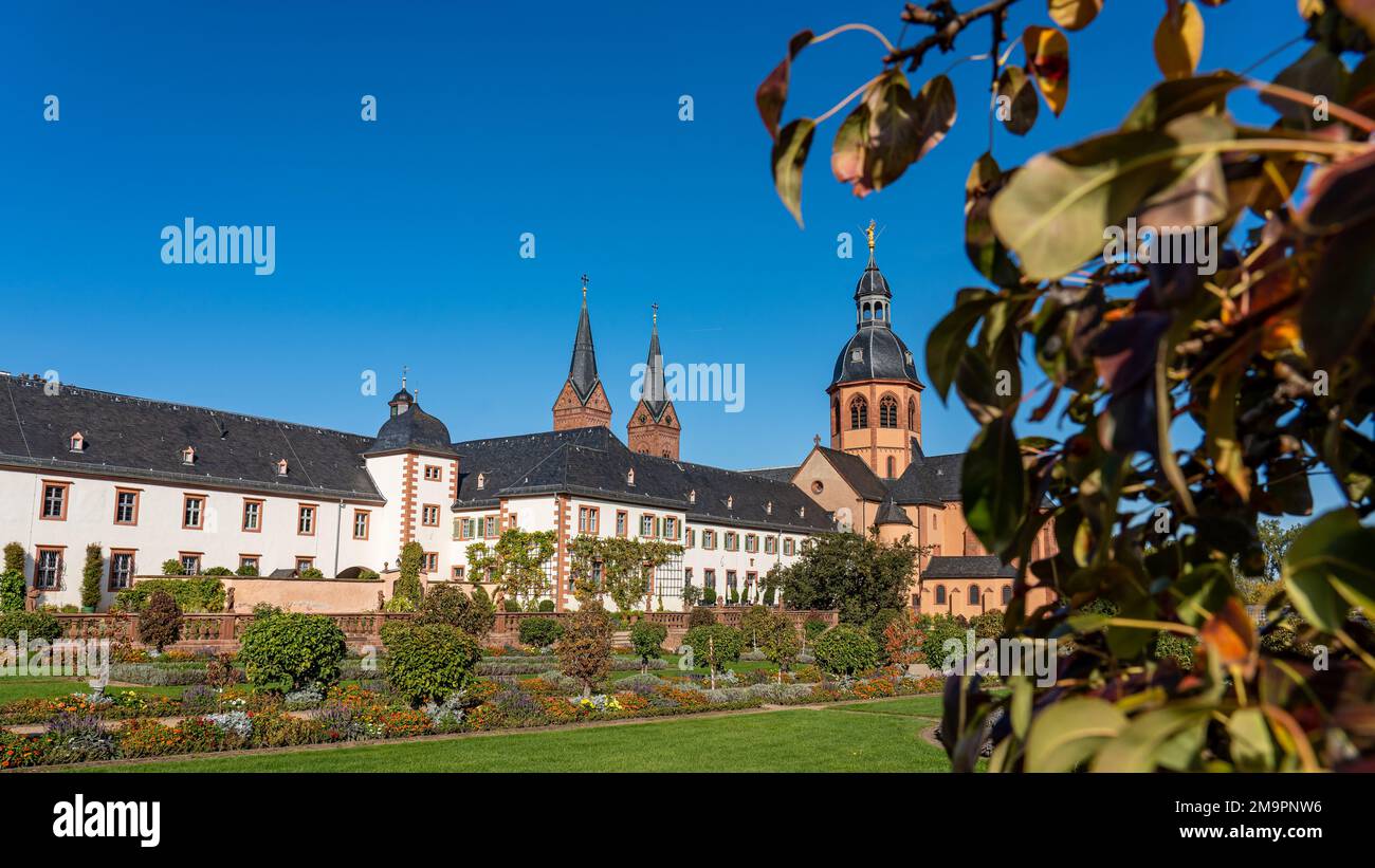 The Kloster Seligenstadt monastery in Germany surrounded by a beautiful ...