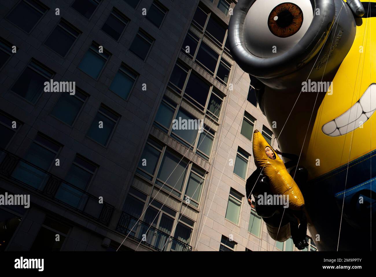 Handlers pull the Stuart the Minion balloon along Central Park West ...