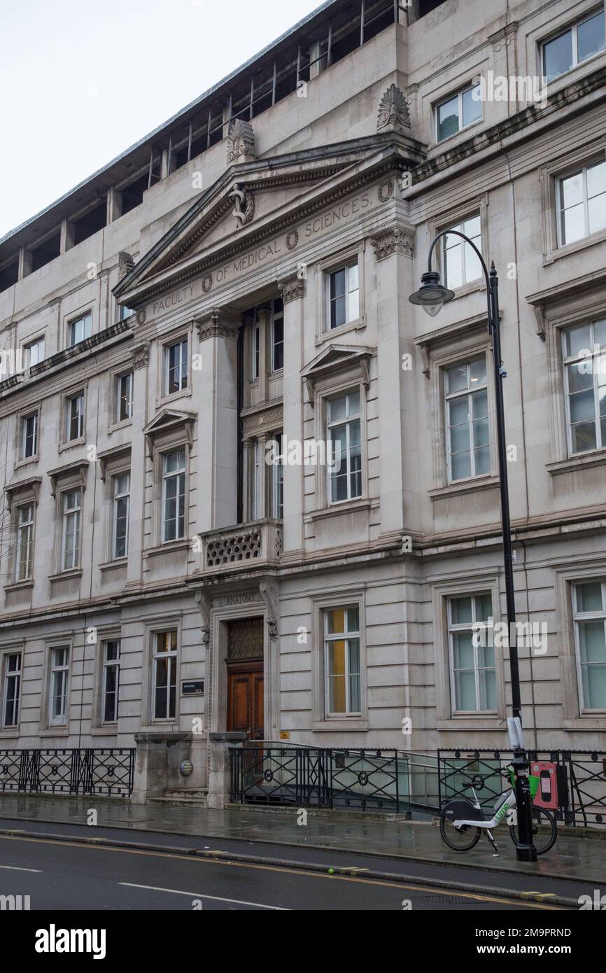 London Medical Laboratory Companies House at Sophie Clarkson blog