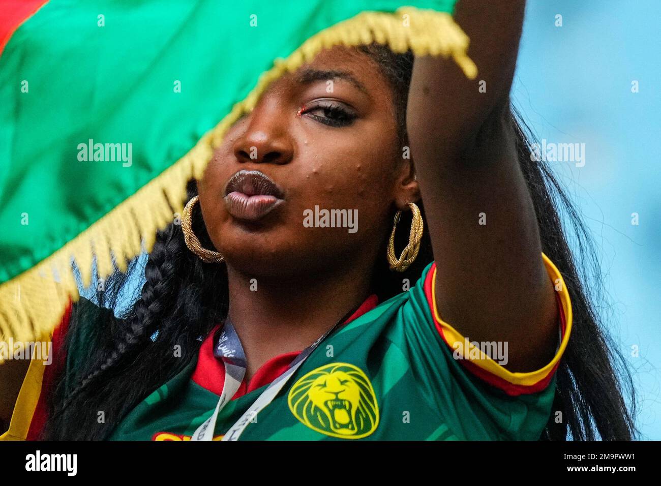 A supporter from Cameroon waves a Cameroon flag during the World Cup ...