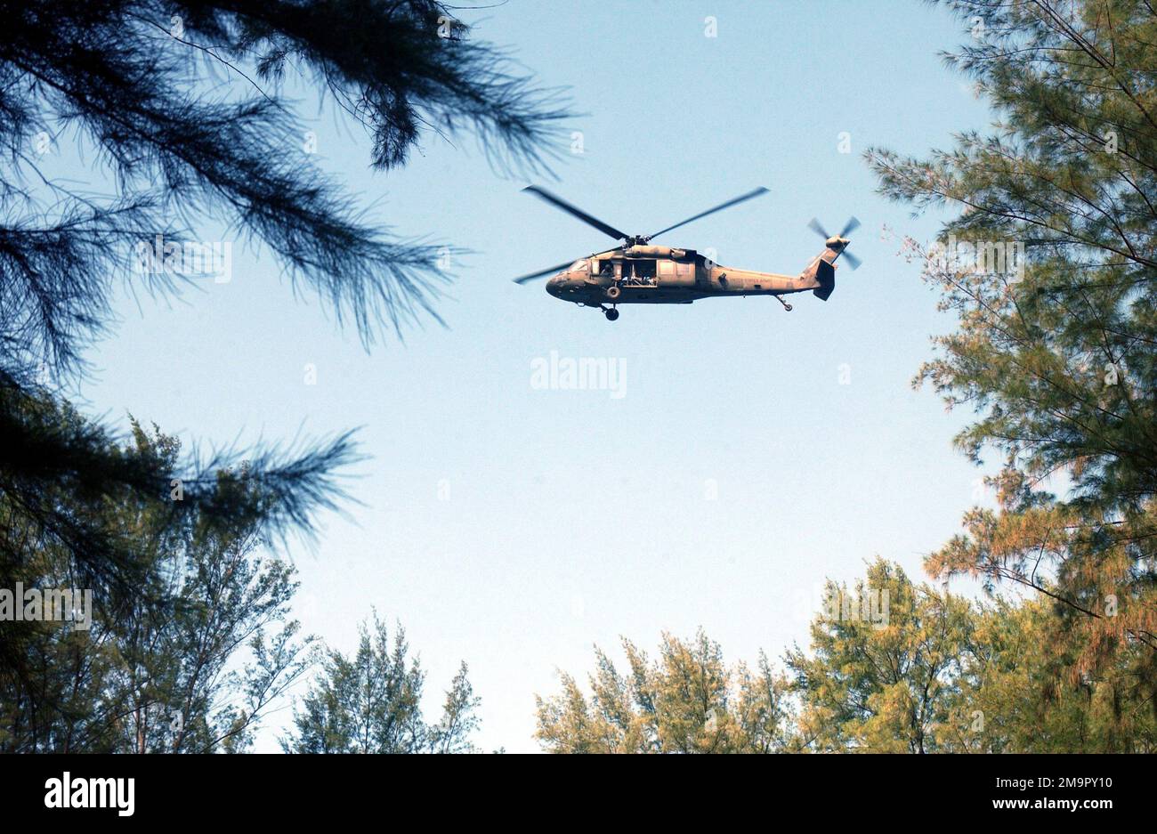 030525-M-9812M-044. Subject Operation/Series: COBRA GOLD 2003 Base: U ...