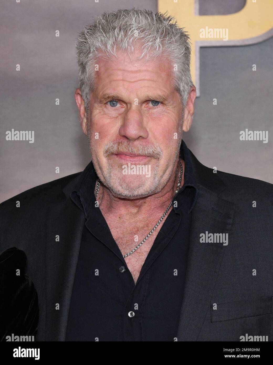 January 17, 2023, Hollywood, California, United States: Ron Perlman ...
