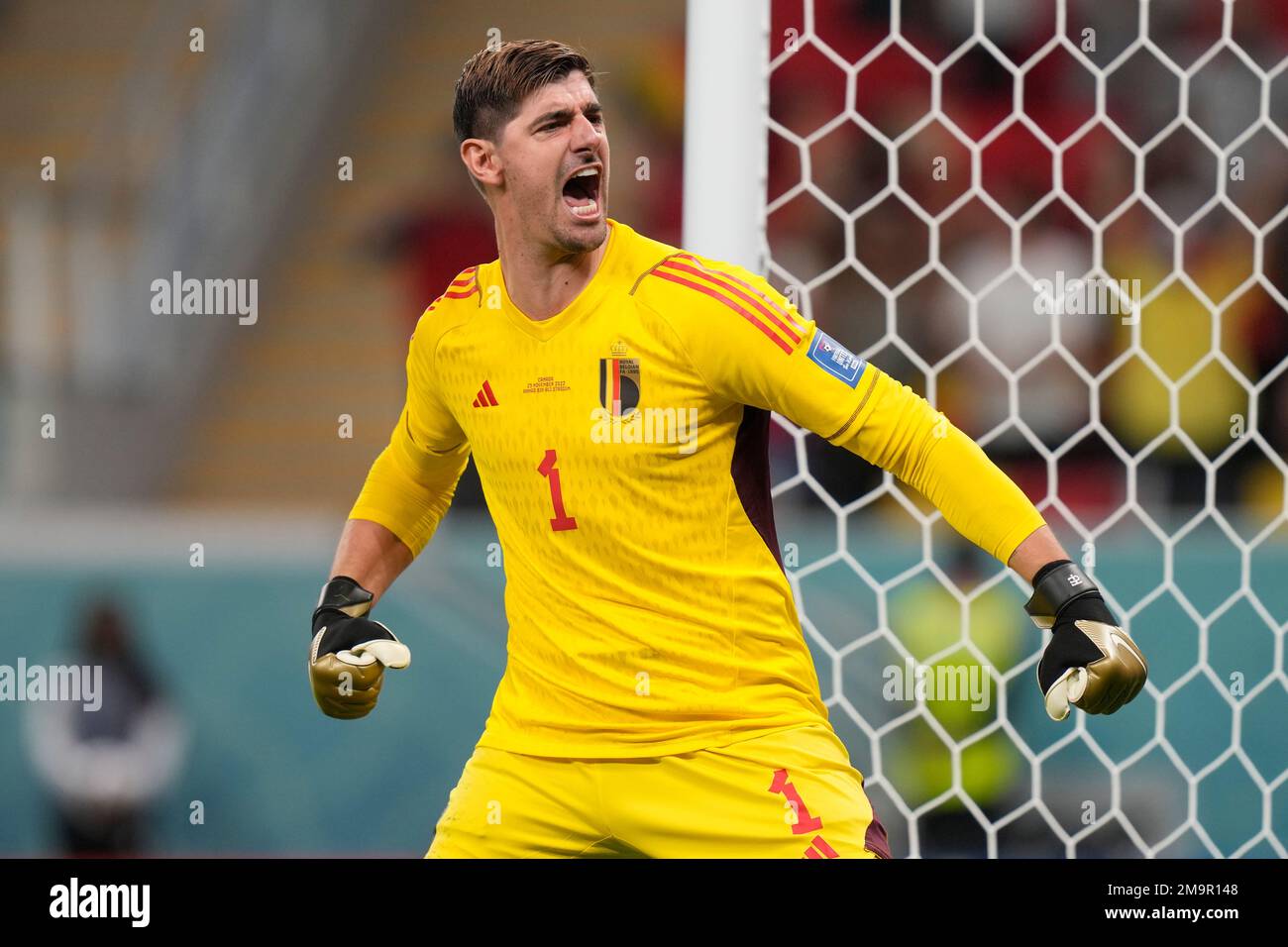 Belgium's goalkeeper Thibaut Courtois celebrates after he saved a ...