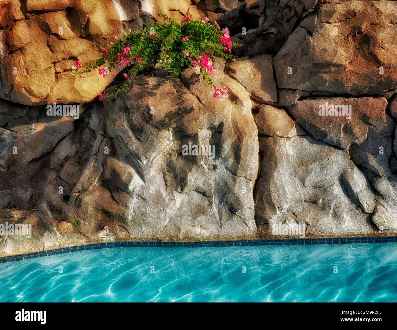 Pool and flowers. Hawaii, The Big Island Stock Photo - Alamy