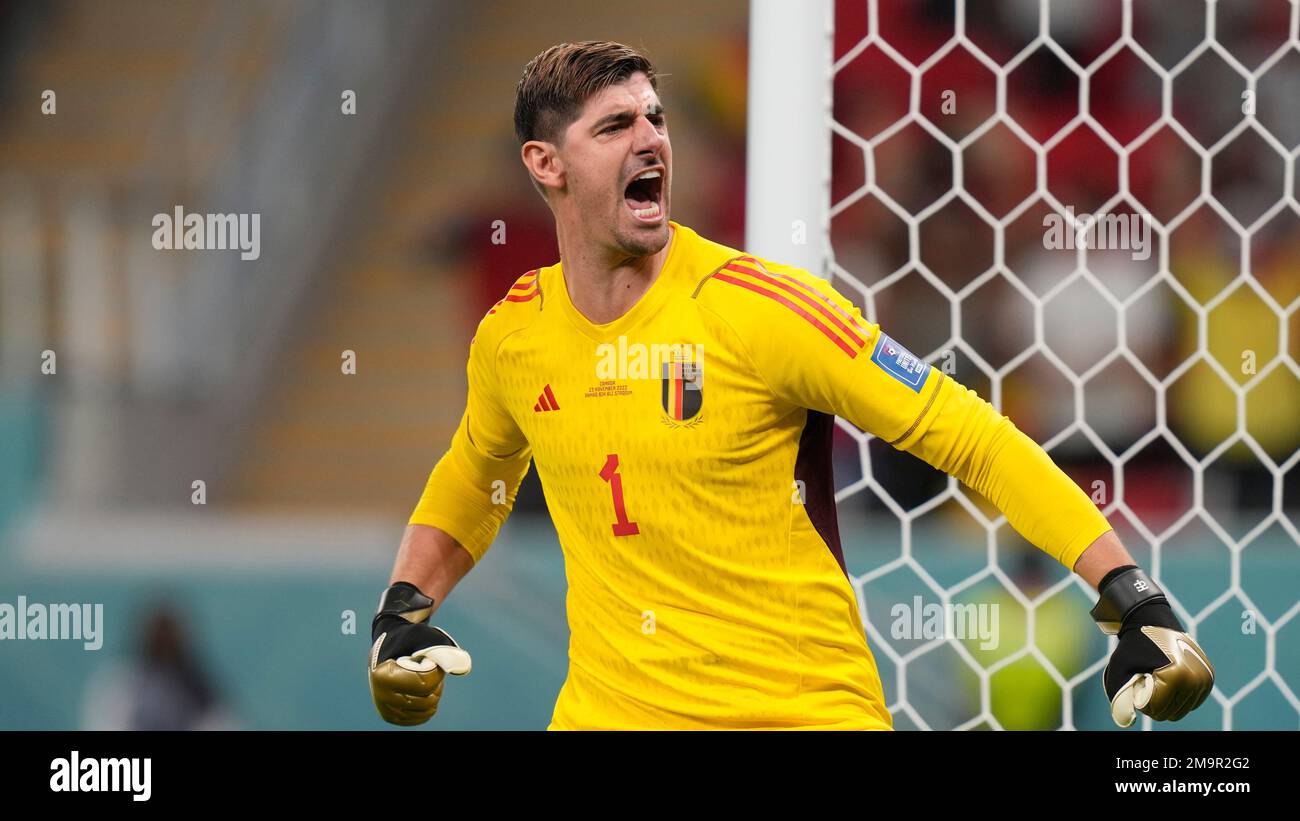 Belgium's goalkeeper Thibaut Courtois reacts during the World Cup group ...