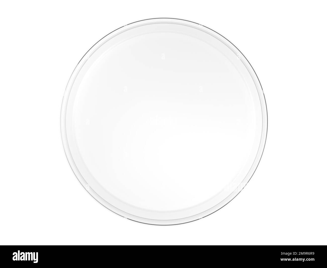 Petri dish isolated on white background. Empty. Top view. 3d ...
