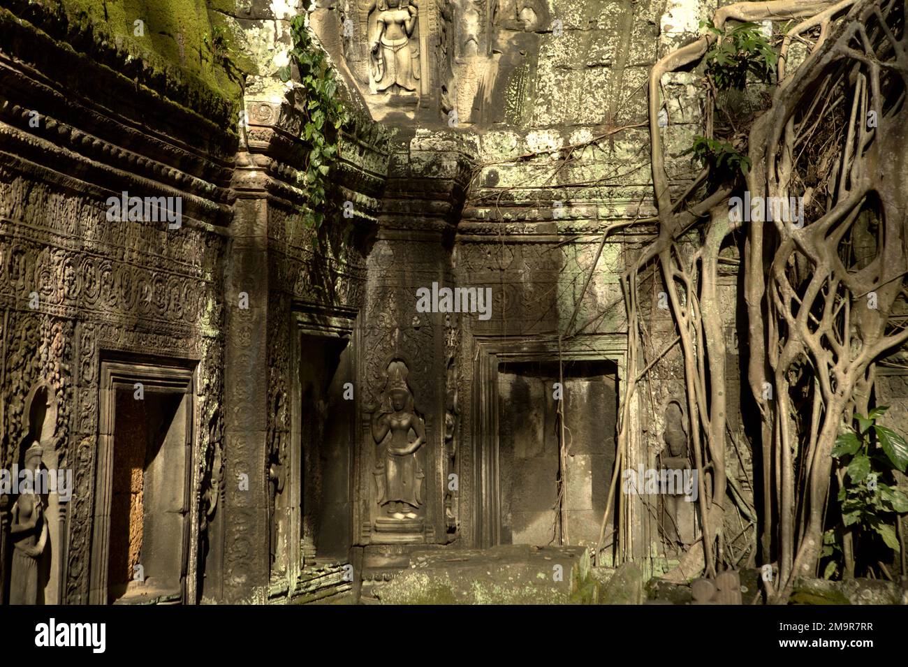 A corner of Ta Prohm, an abandoned ancient monastery and temple in Siem ...
