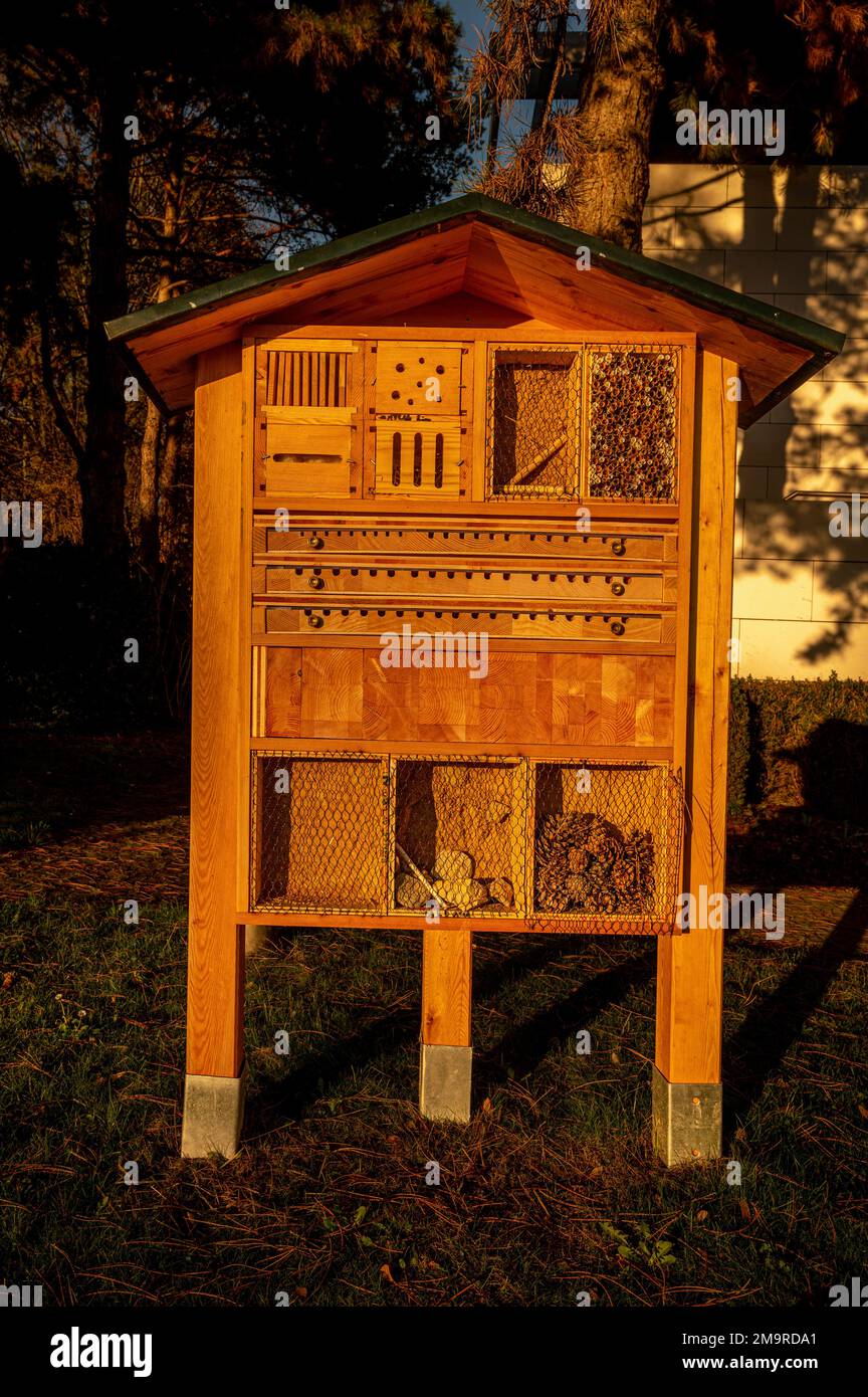 Insect house in the sunlight. Insect house at sunset. Bug hotel at the ...