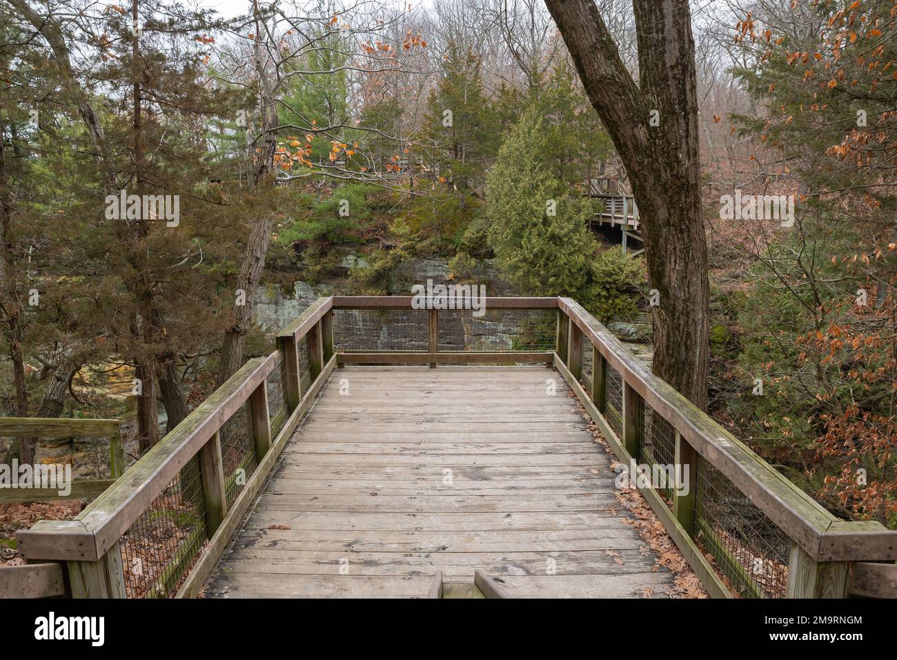 Wooden platform overlooking Wildcat Canyon on a cloudy Winter morning ...