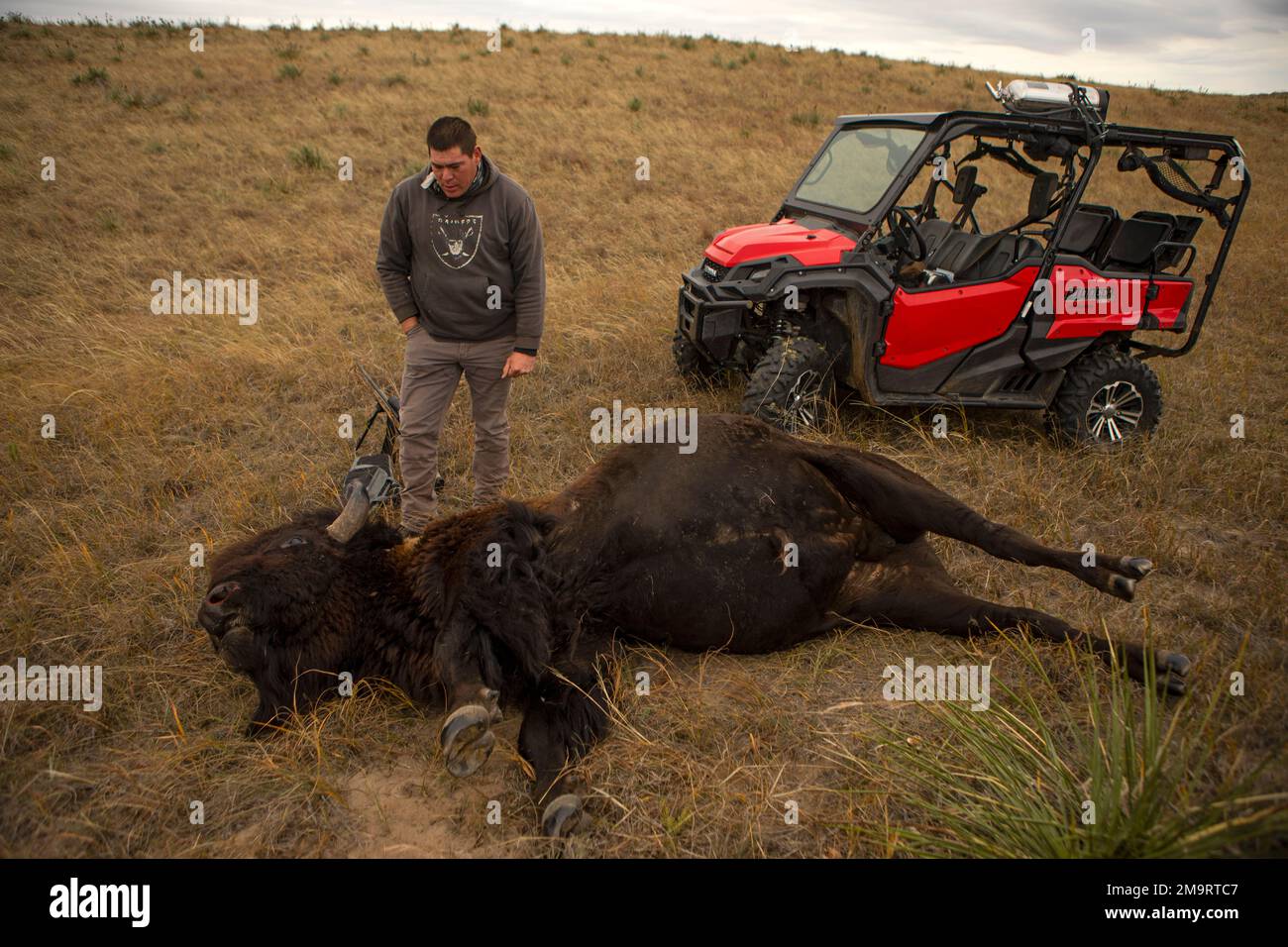 TJ Heinert, assistant range manager of Wolokota Buffalo Range in St ...