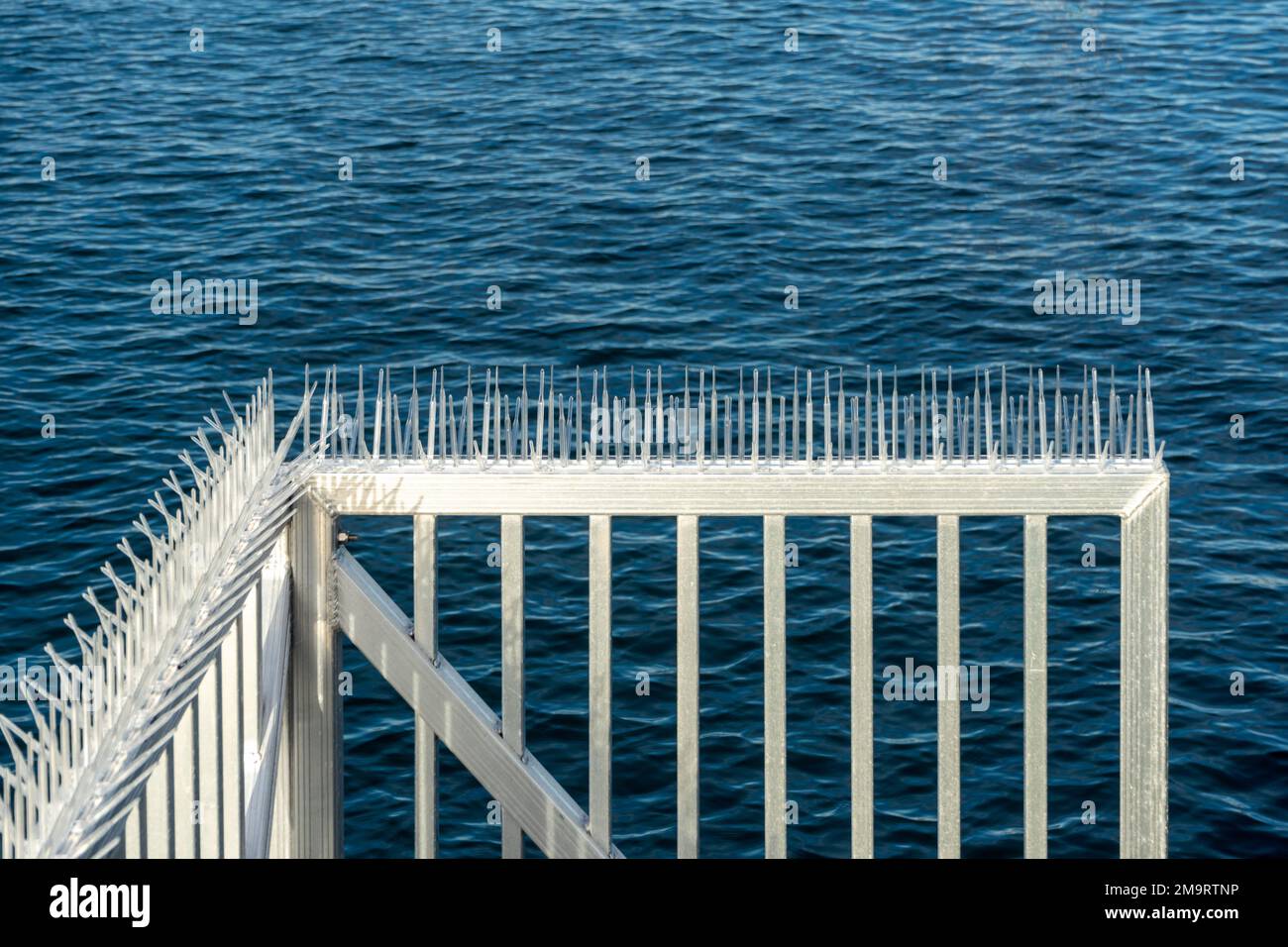 Plastic bird spikes attached to a fence on a pier with ocean background ...