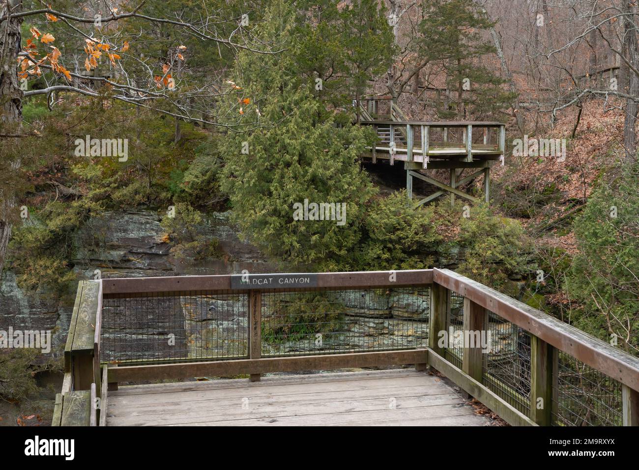 Wooden platform overlooking Wildcat Canyon on a cloudy Winter morning ...