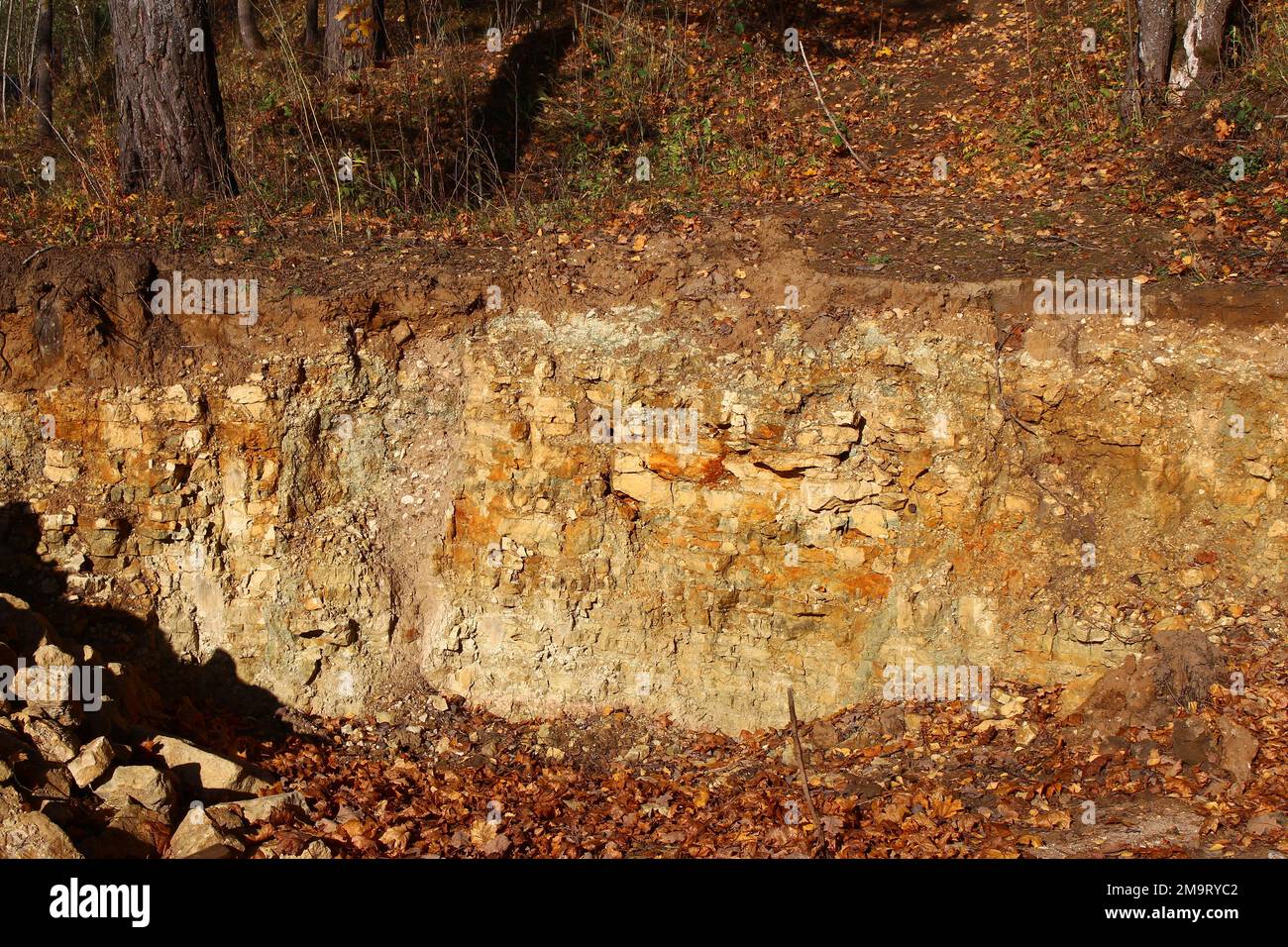Outcrop of fractured limestone rocks of the Carboniferous period ...