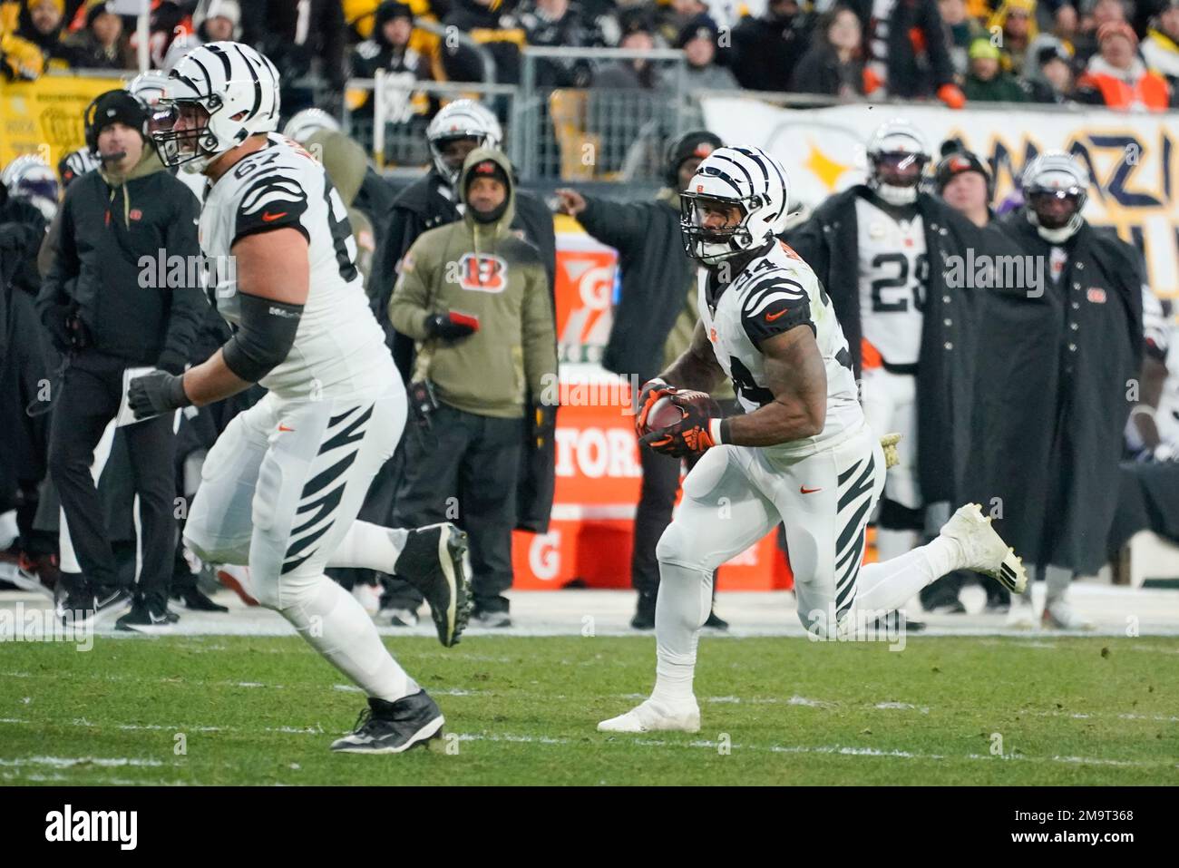 Cincinnati Bengals running back Samaje Perine (34) follows offensive ...