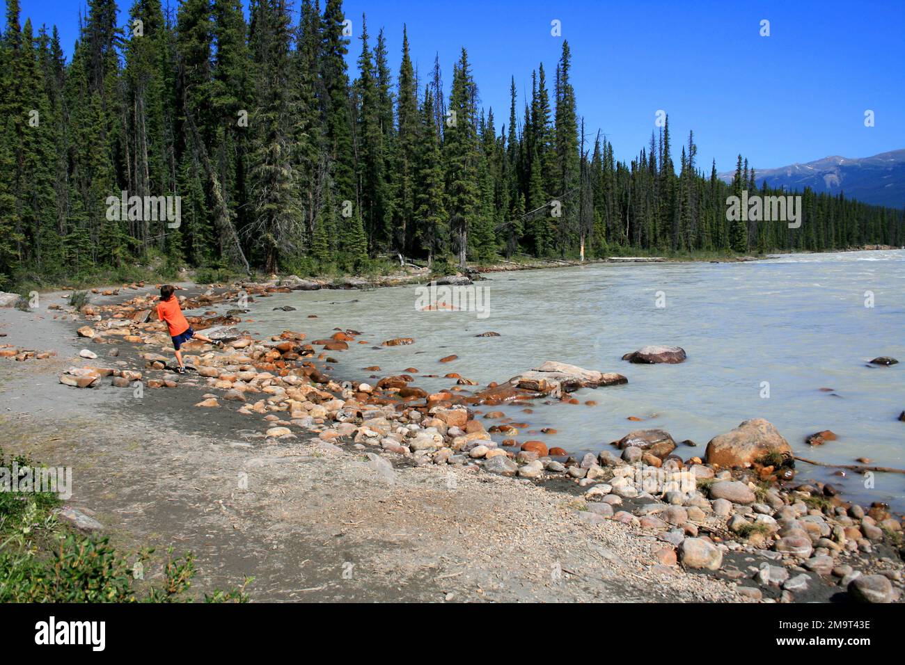 A kid in orange shirt on the beach throwing rock into Athabasca River ...