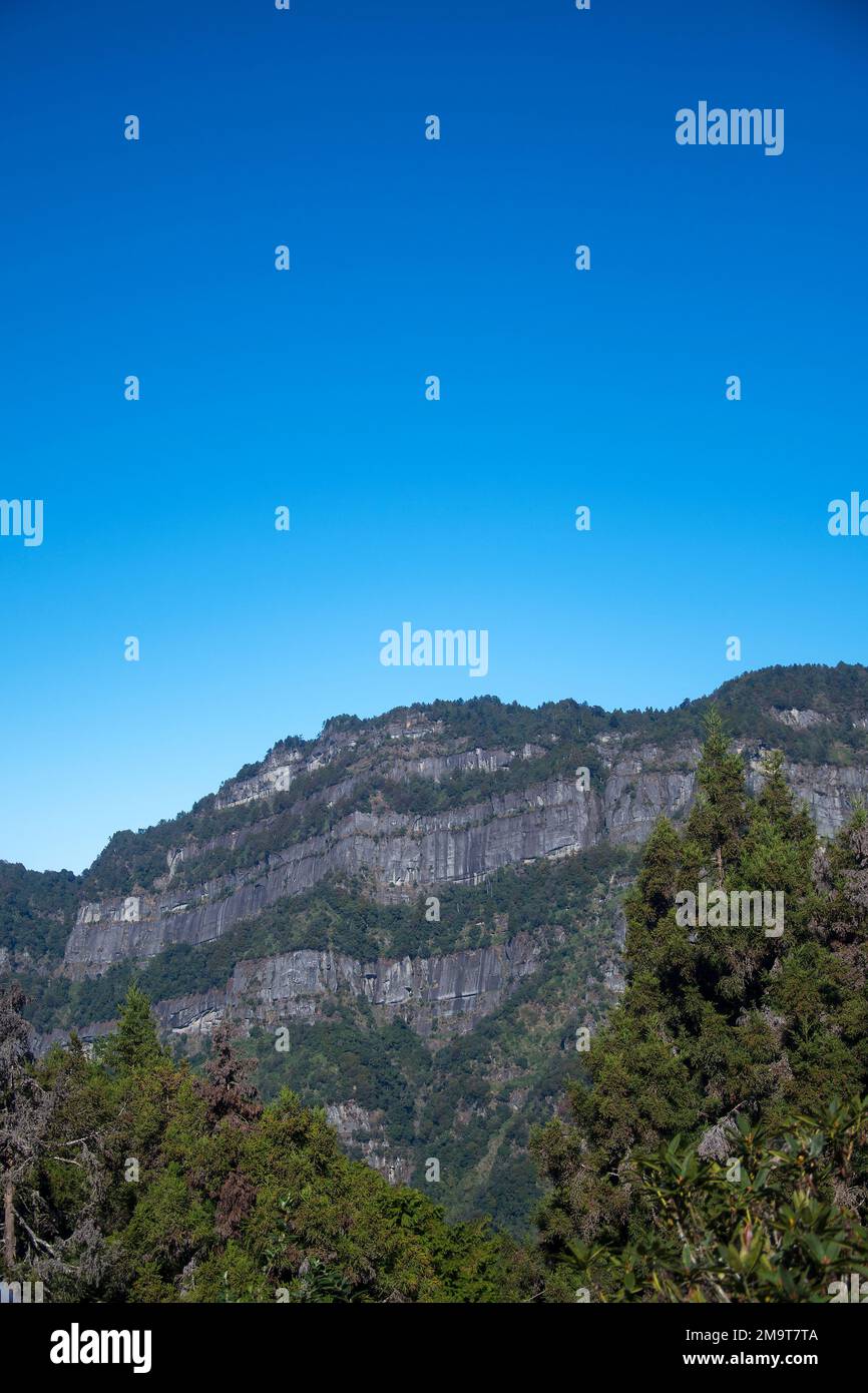 Beautiful morning with blue sky in Alishan National Park, Taiwan Stock ...