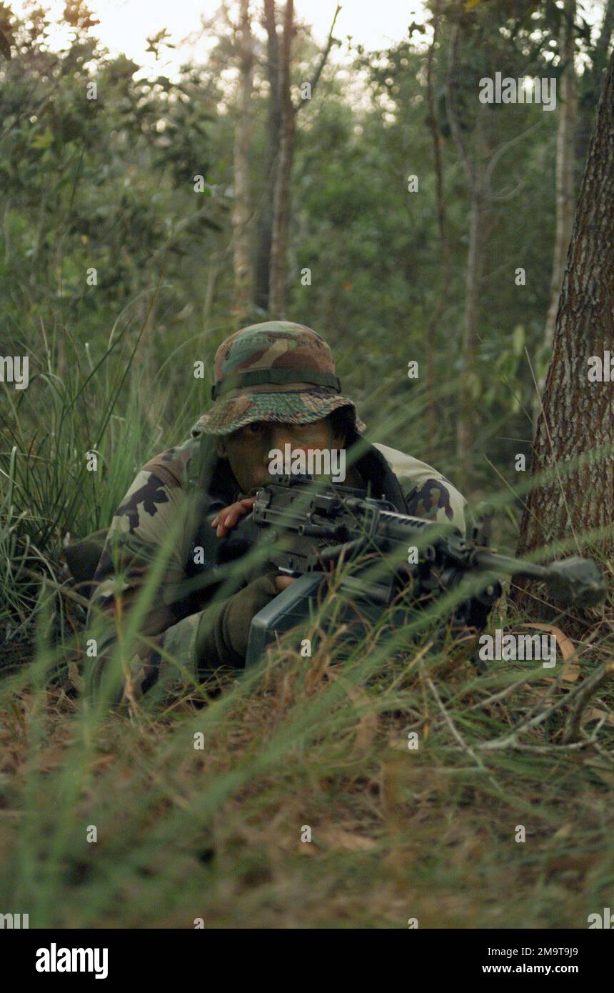 030910-M-9023R-056. Subject Operation/Series: CROCODILE 2003 Base: Camp ...