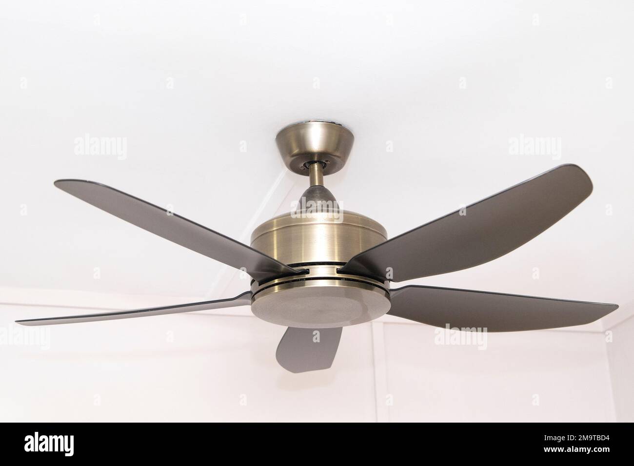 Ceiling fan with five blades hangs from white ceiling Stock Photo - Alamy