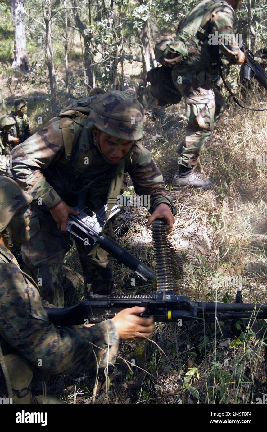 030912-M-9023R-013. Subject Operation/Series: CROCODILE 2003 Base: Camp ...